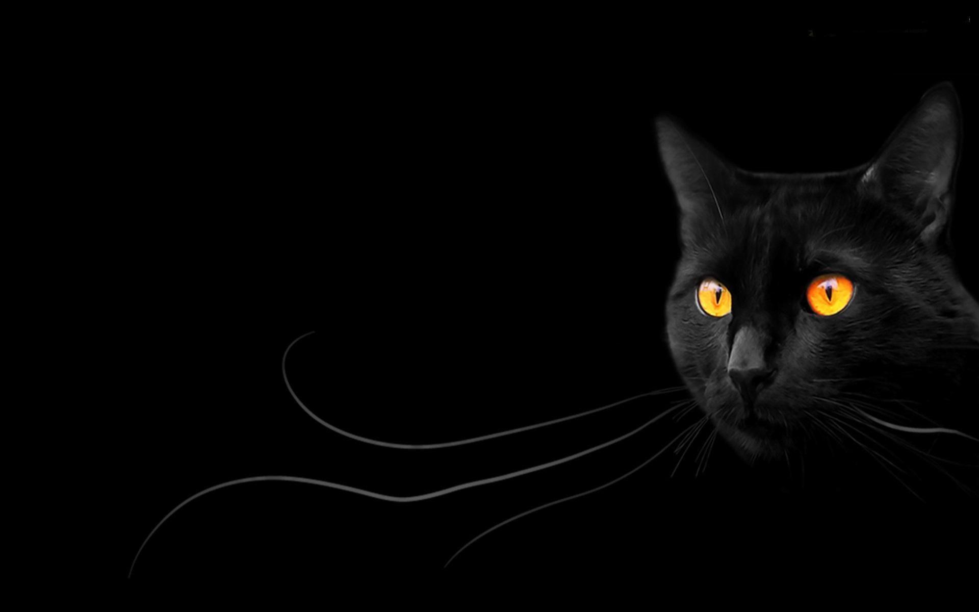Black Magic Wallpapers - Top Free Black Magic Backgrounds - WallpaperAccess
