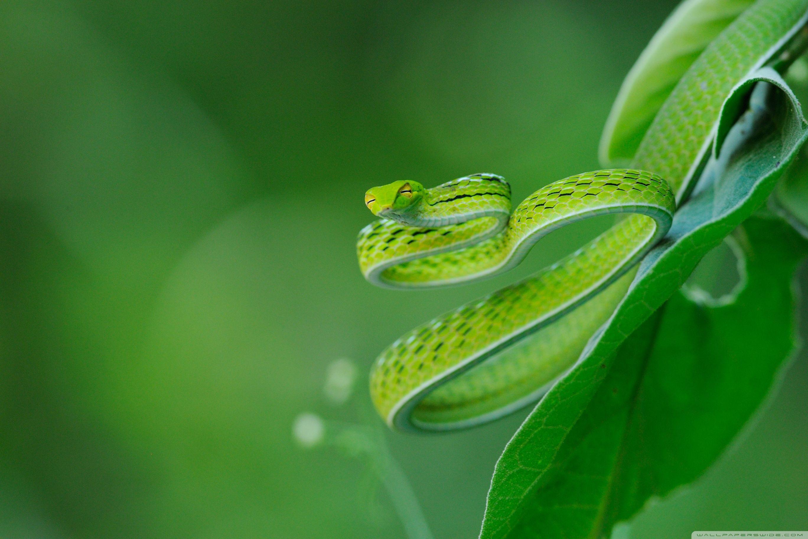 Exotic Water Wallpapers - Top Free Exotic Water Backgrounds ...