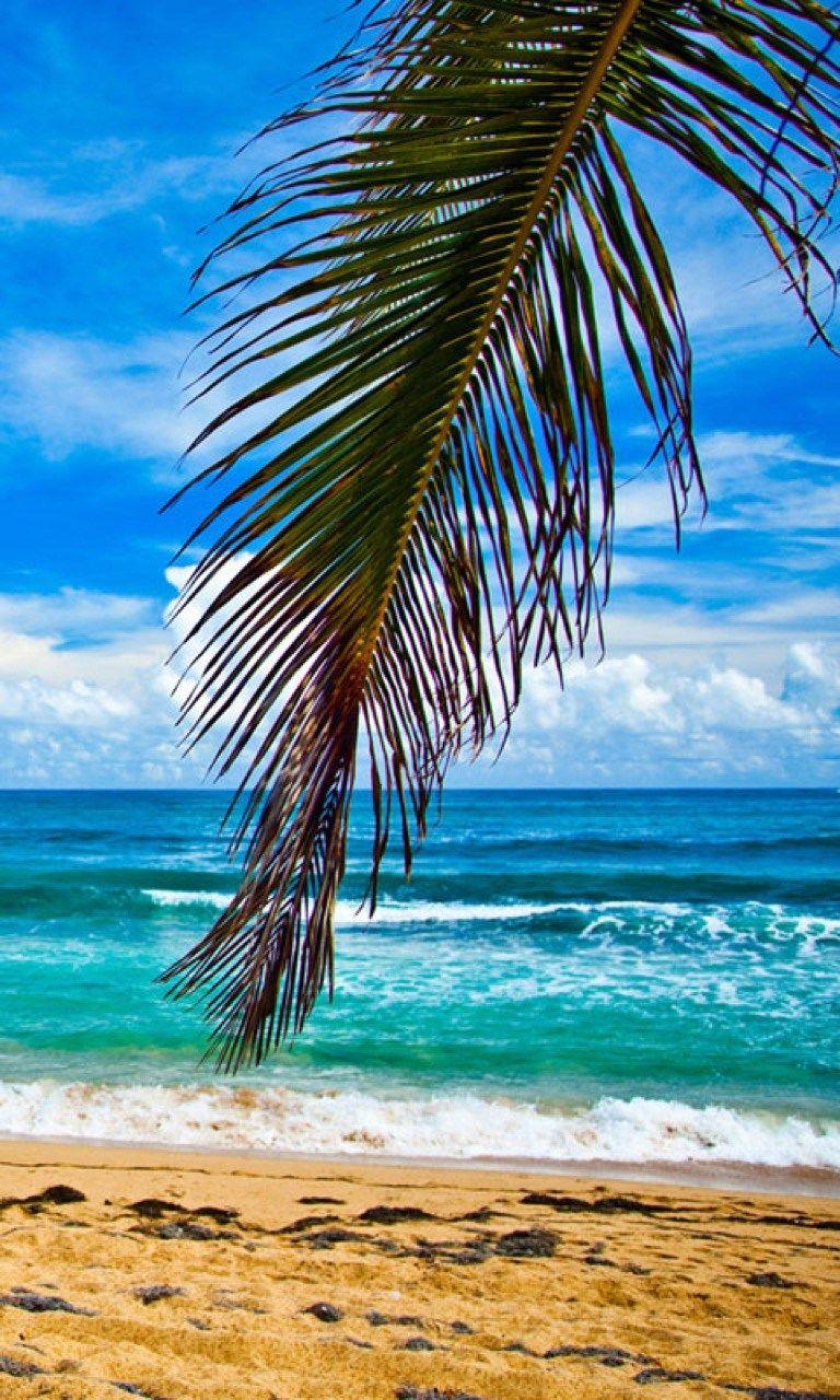 Summer Ocean Wallpapers - Top Free Summer Ocean Backgrounds ...