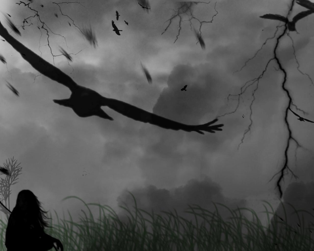 Crow Wallpapers - Top Free Crow Backgrounds - WallpaperAccess