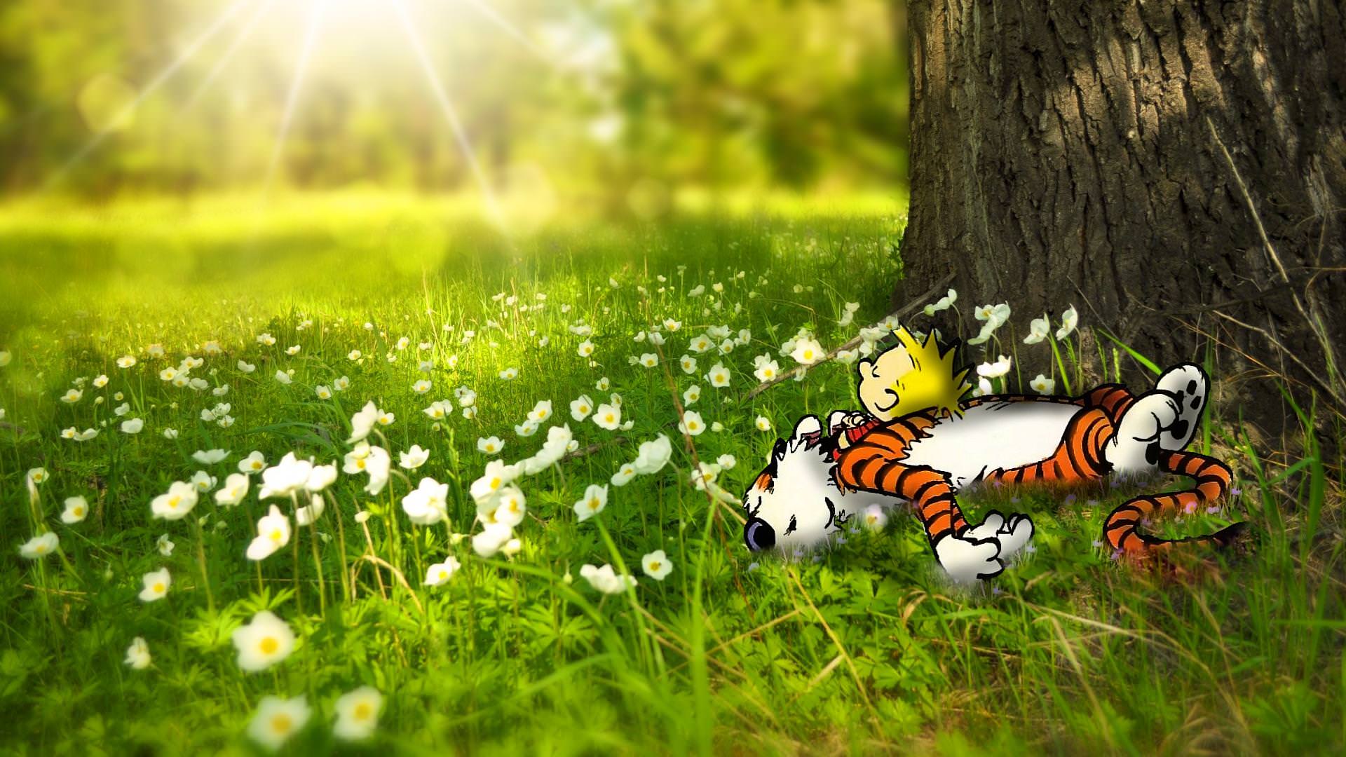 Calvin and Hobbes Desktop Wallpapers - Top Free Calvin and Hobbes ...