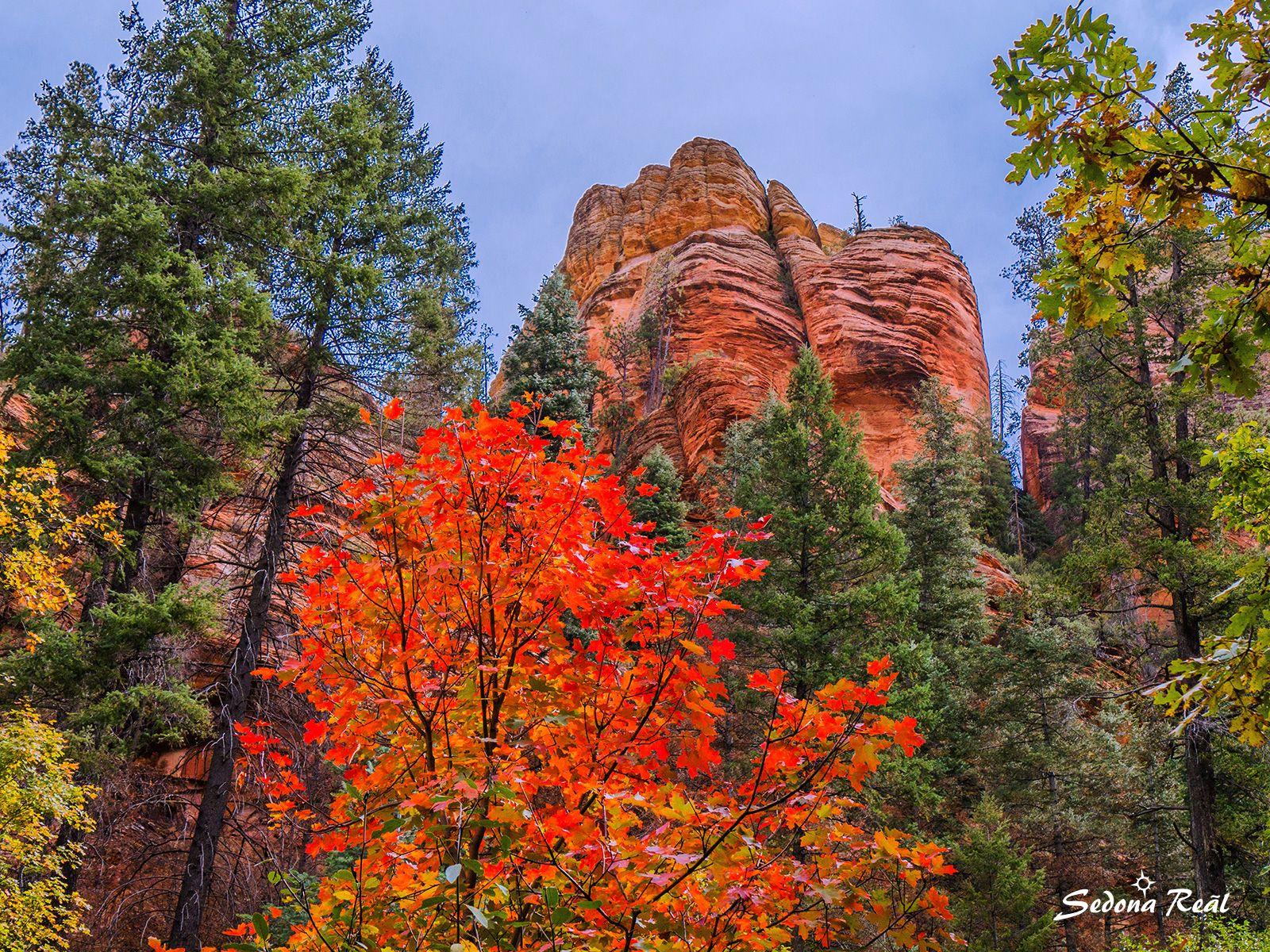 Sedona Wallpapers - Top Free Sedona Backgrounds - WallpaperAccess