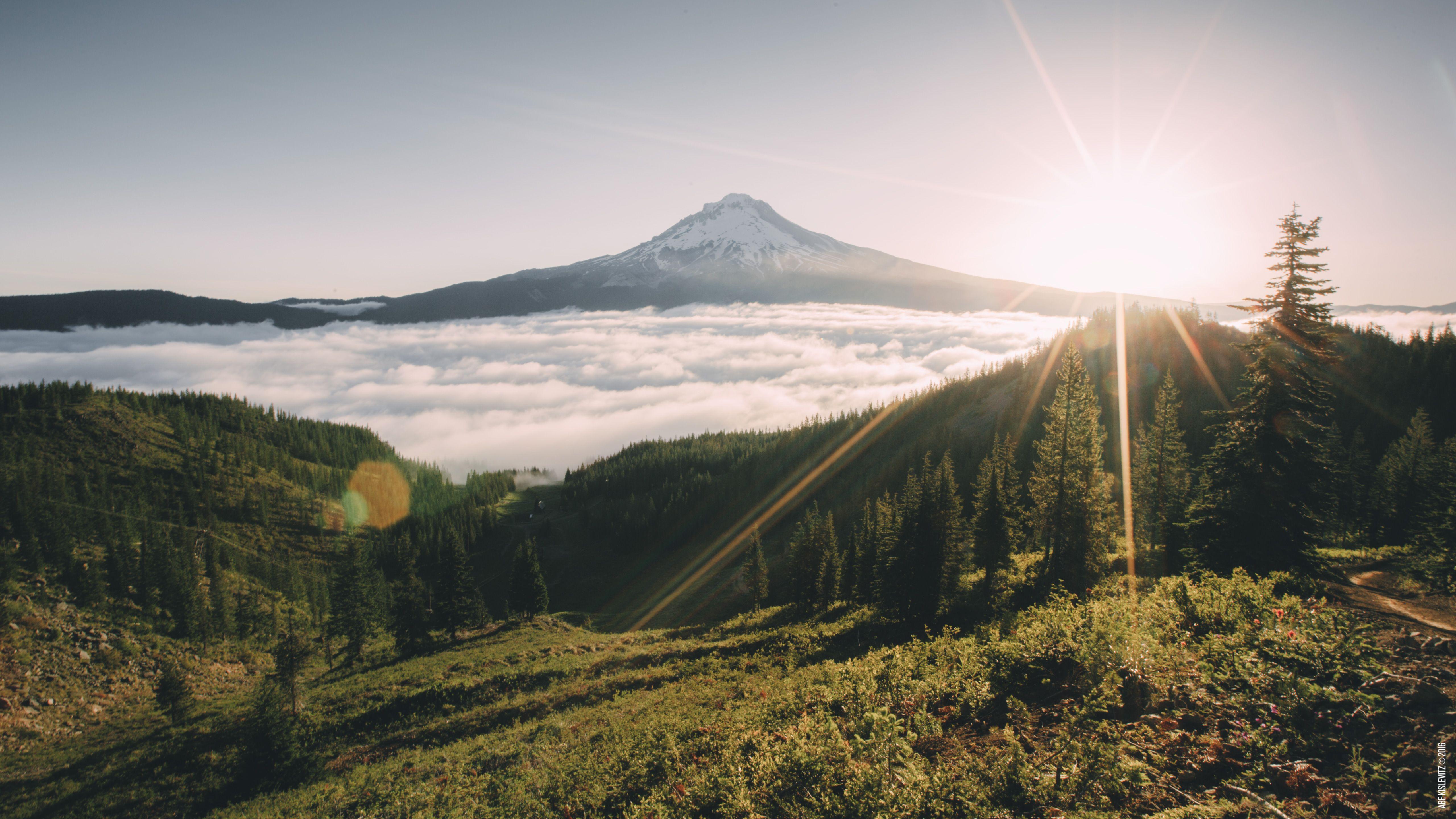 Oregon Wallpapers - Top Free Oregon Backgrounds - WallpaperAccess