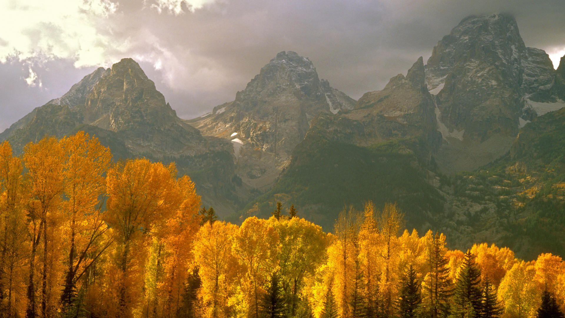 Wyoming Wallpapers - Top Free Wyoming Backgrounds - WallpaperAccess