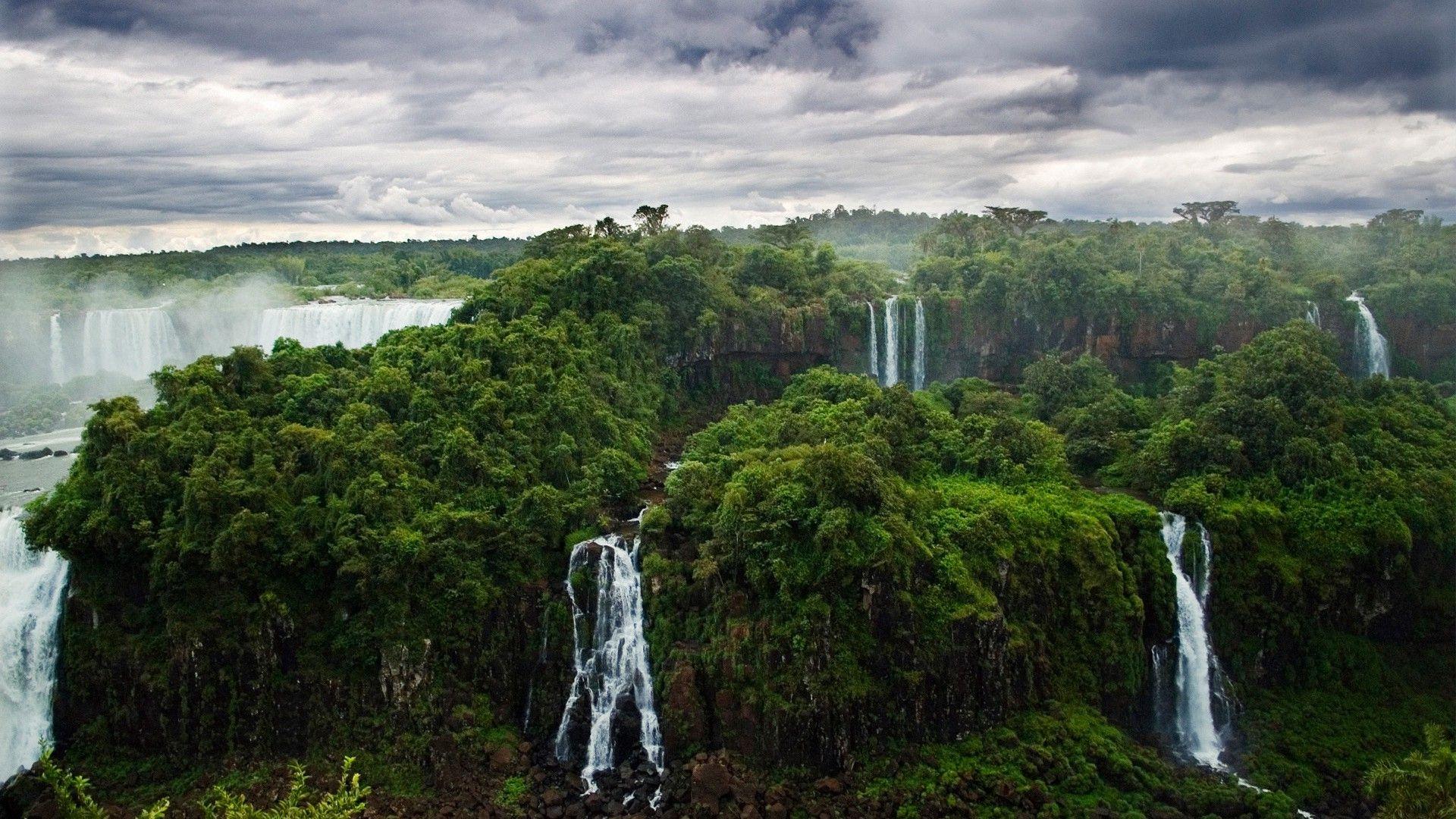 Tropical Forest HD Wallpapers - Top Free Tropical Forest HD Backgrounds ...