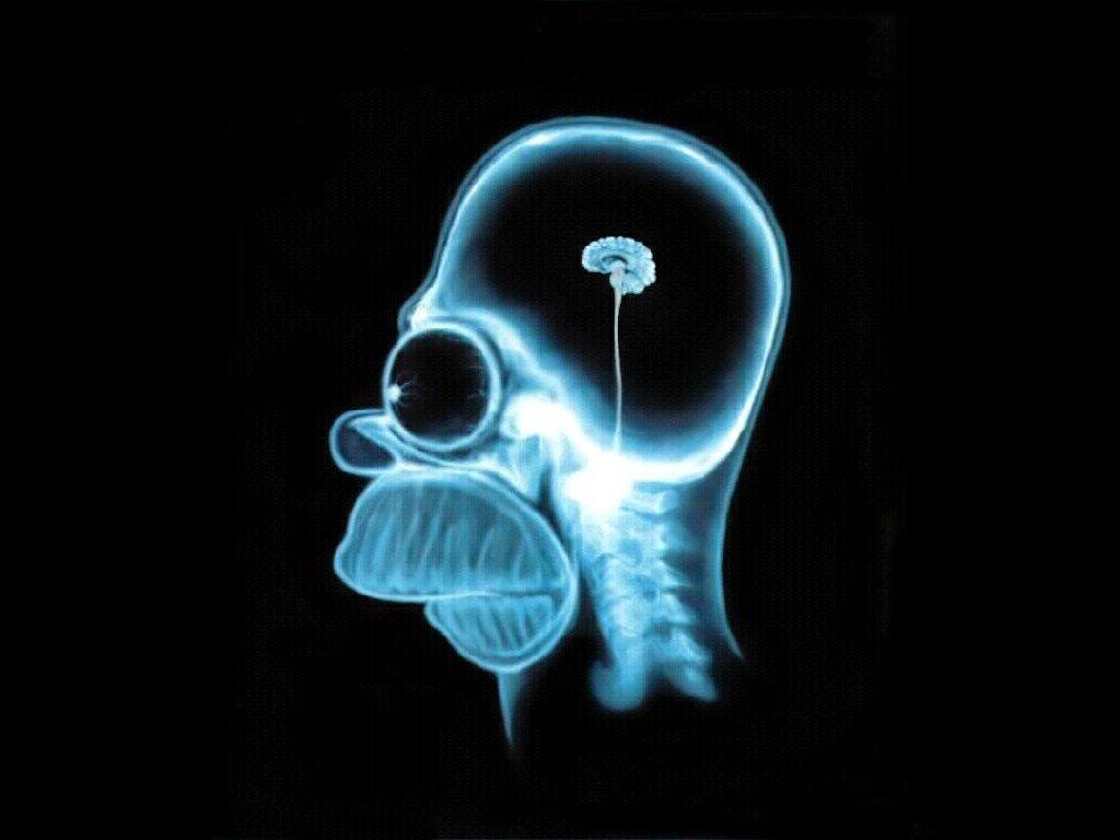 Cool Brain Wallpapers - Top Free Cool Brain Backgrounds - WallpaperAccess