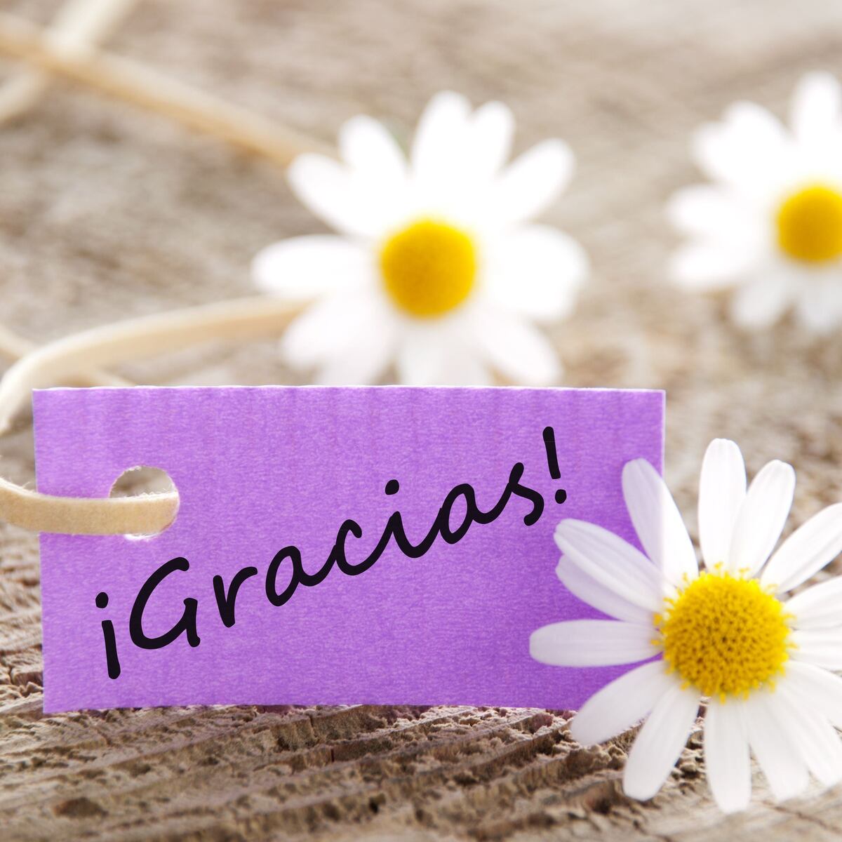 Gracias Wallpapers - Top Free Gracias Backgrounds - WallpaperAccess