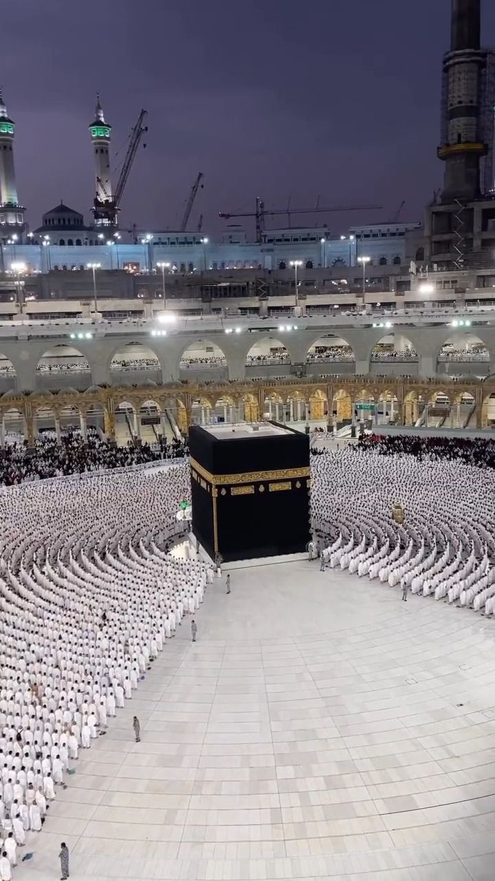 Kabe Wallpapers - Top Free Kabe Backgrounds - WallpaperAccess