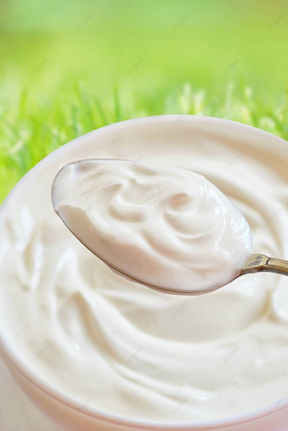 Curd Wallpapers - Top Free Curd Backgrounds - WallpaperAccess