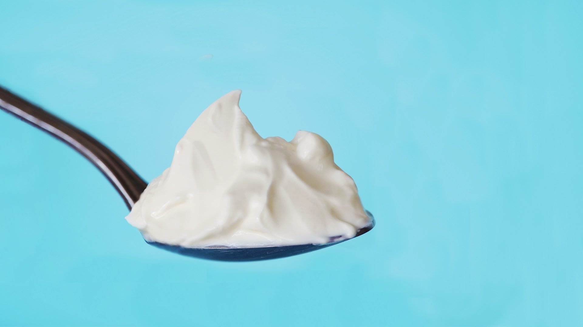 Curd Wallpapers - Top Free Curd Backgrounds - WallpaperAccess