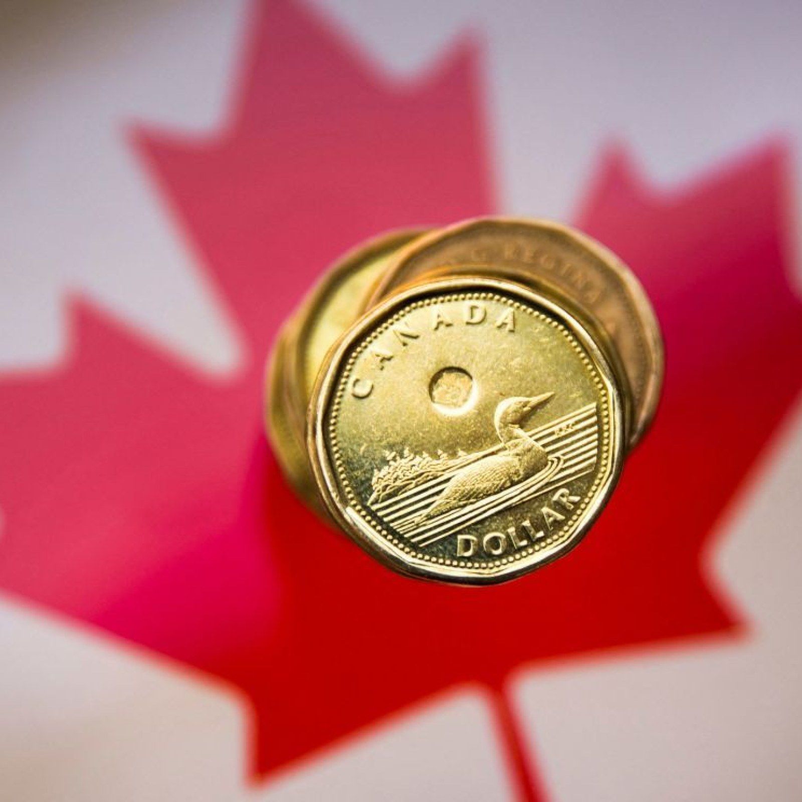 Canadian Dollar Wallpapers - Top Free Canadian Dollar Backgrounds ...