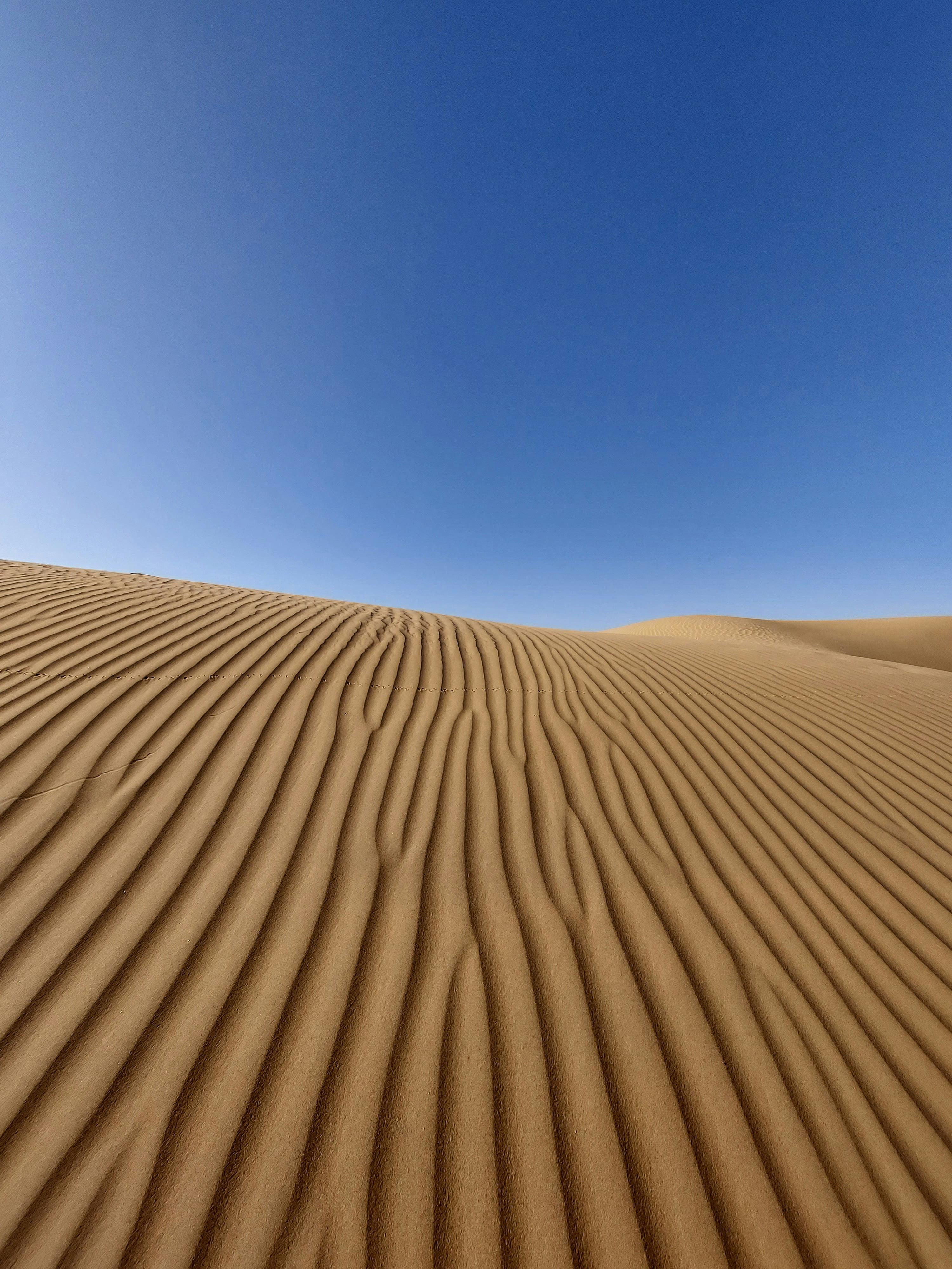 Thar Desert Wallpapers - Top Free Thar Desert Backgrounds - WallpaperAccess