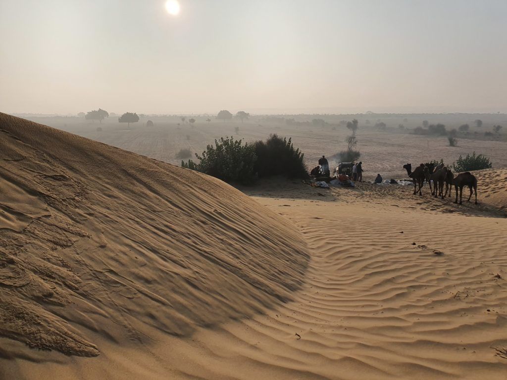 Thar Desert Wallpapers - Top Free Thar Desert Backgrounds - WallpaperAccess