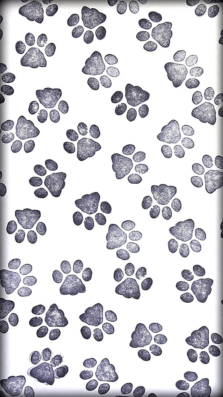 Paw Prints Wallpapers - Top Free Paw Prints Backgrounds - WallpaperAccess