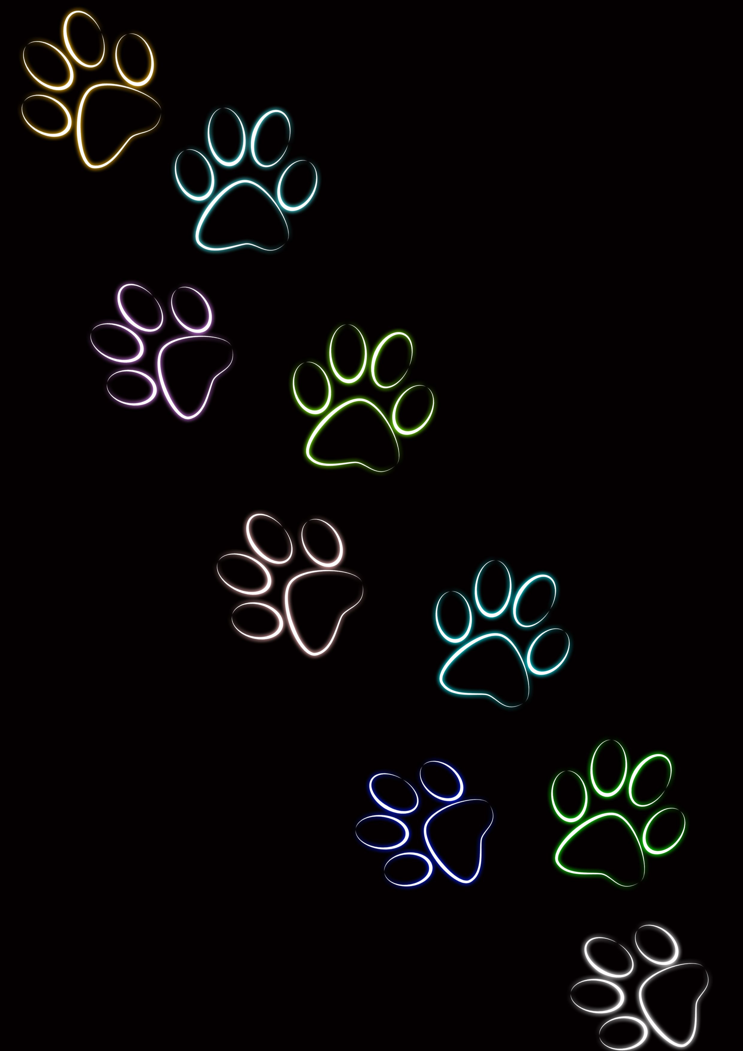 Paw Prints Wallpapers - Top Free Paw Prints Backgrounds - WallpaperAccess