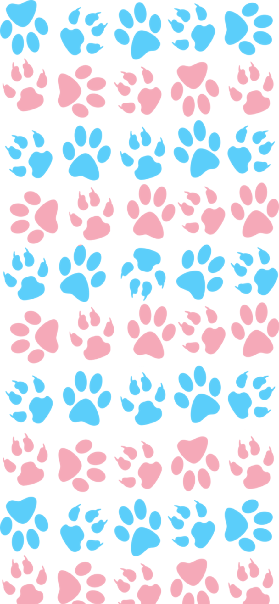 Paw Prints Wallpapers - Top Free Paw Prints Backgrounds - WallpaperAccess