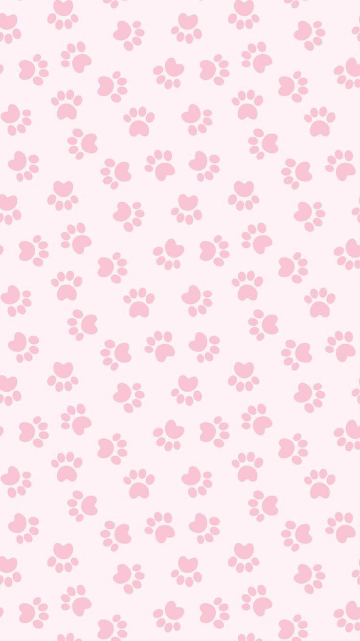 Paw Prints Wallpapers - Top Free Paw Prints Backgrounds - WallpaperAccess