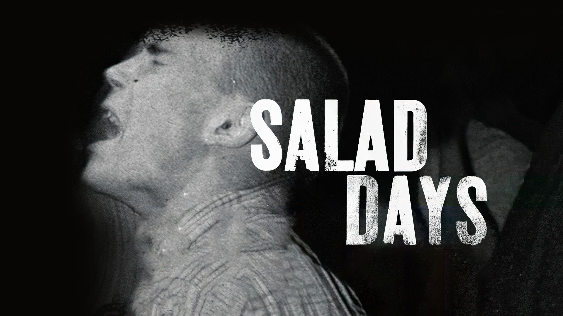 Salad Days Wallpapers - Top Free Salad Days Backgrounds - WallpaperAccess