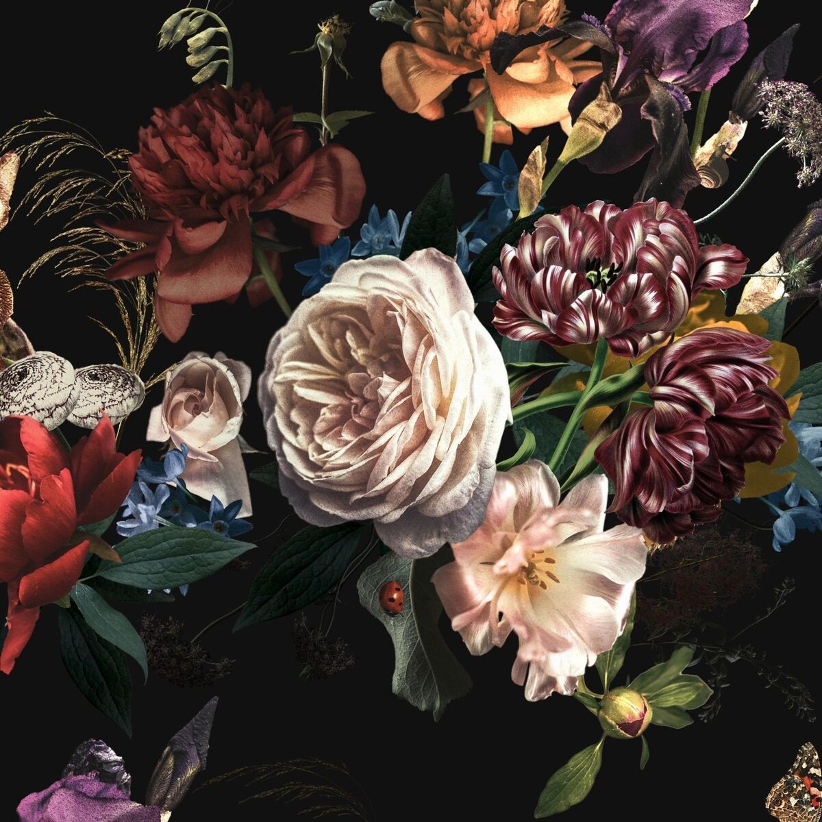 Dark Renaissance Wallpapers - Top Free Dark Renaissance Backgrounds - WallpaperAccess