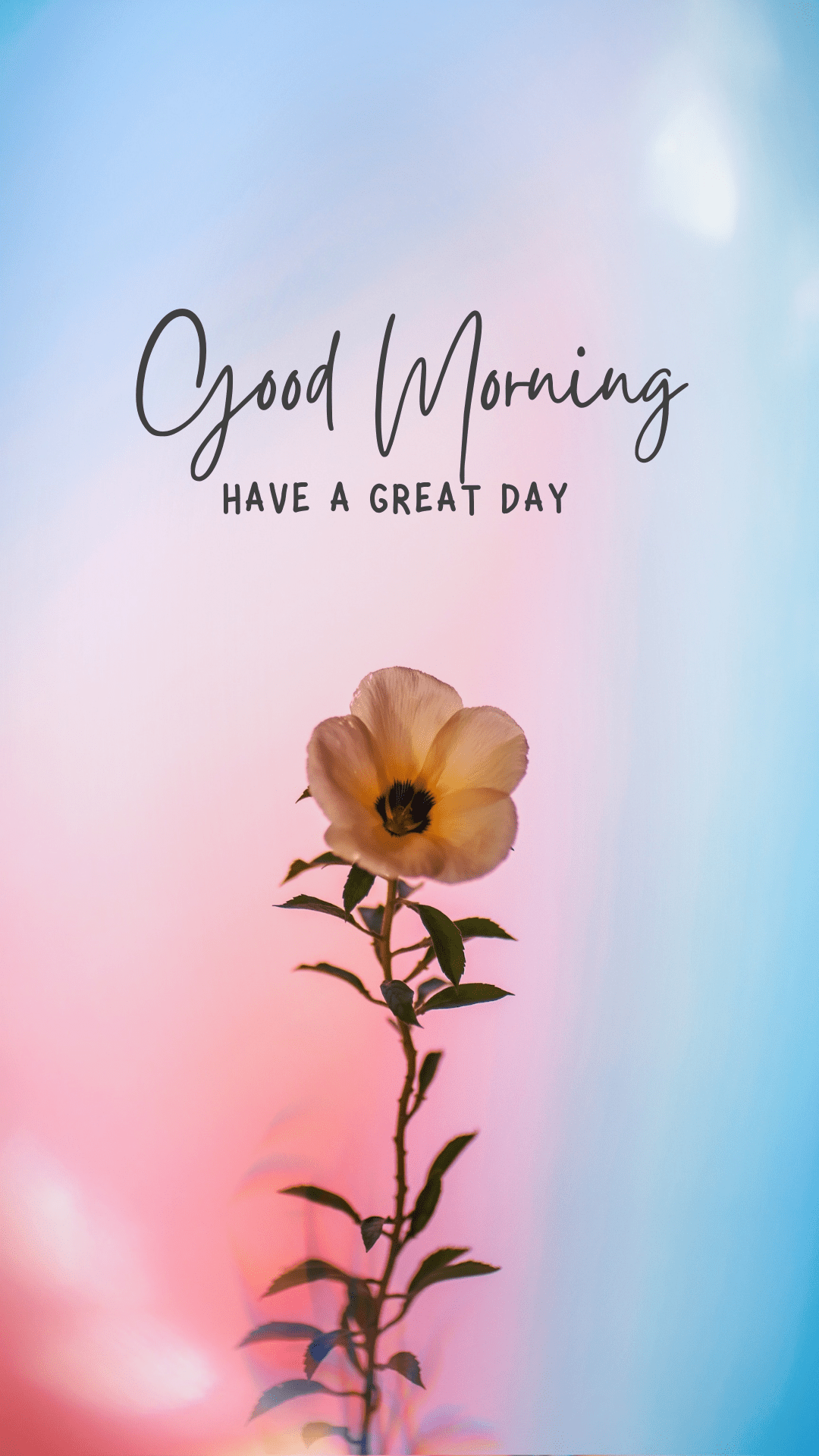 Have A Great Day Wallpapers - Top Free Have A Great Day Backgrounds ...
