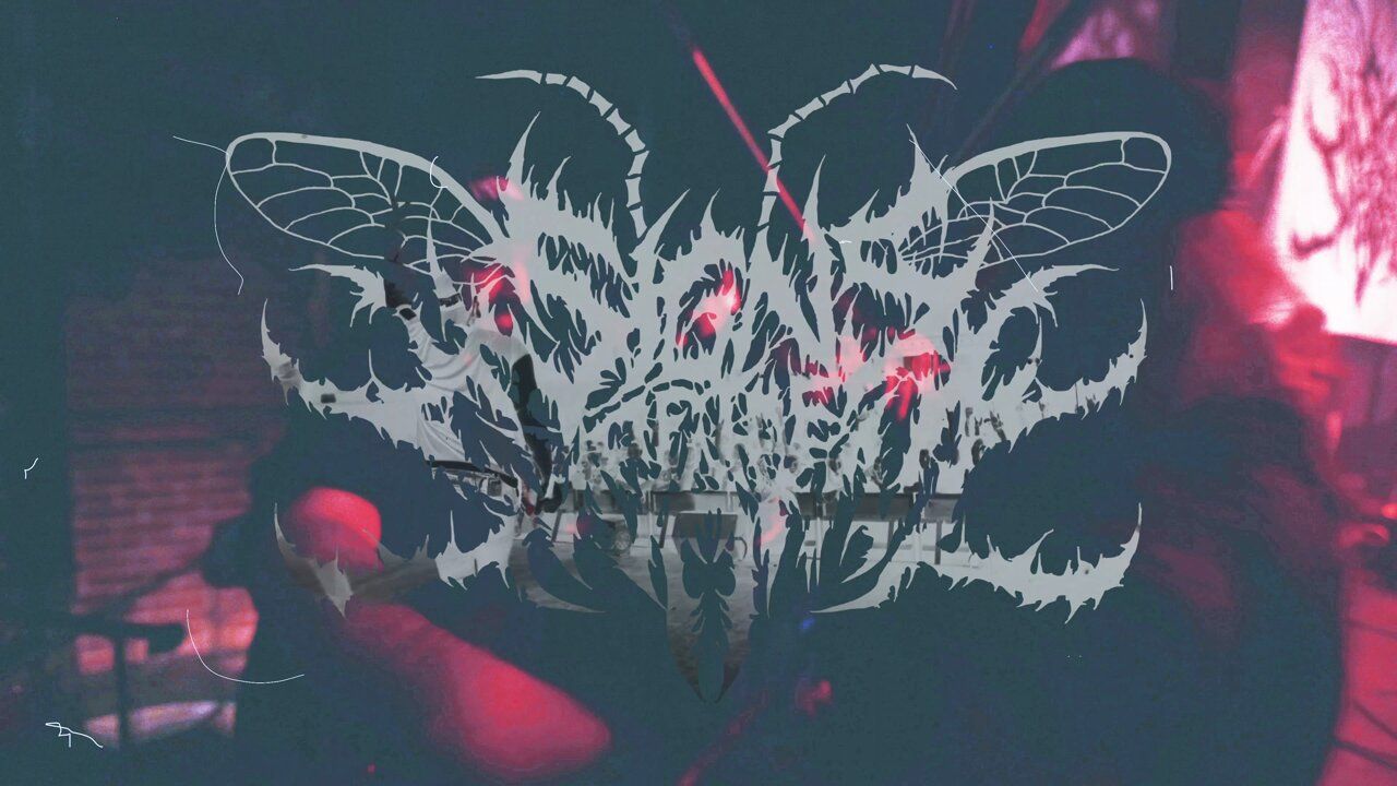 Signs of The Swarm Wallpapers - Top Free Signs of The Swarm Backgrounds ...