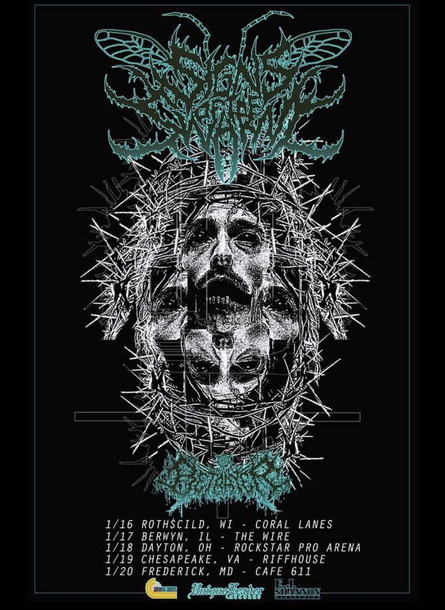 Signs of The Swarm Wallpapers - Top Free Signs of The Swarm Backgrounds ...