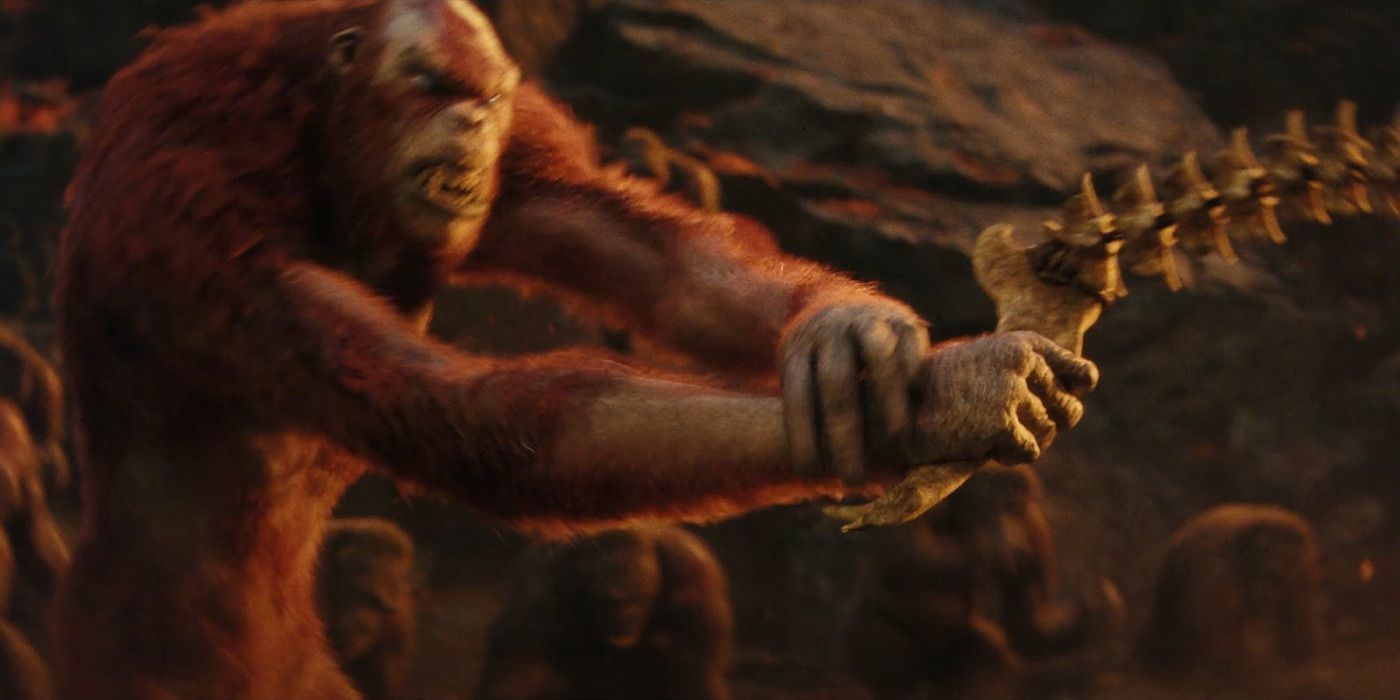 Skar King Wallpapers - Top Free Skar King Backgrounds - WallpaperAccess