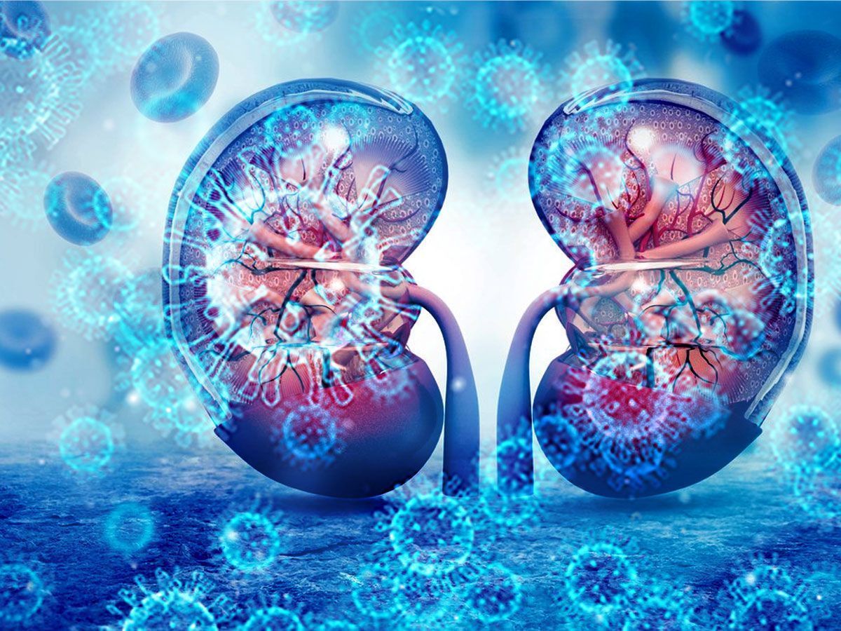 Dialysis Wallpapers - Top Free Dialysis Backgrounds - WallpaperAccess