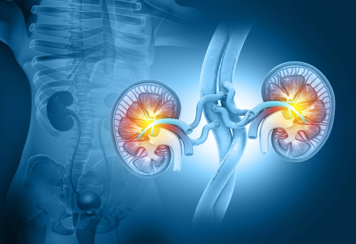 Dialysis Wallpapers - Top Free Dialysis Backgrounds - WallpaperAccess