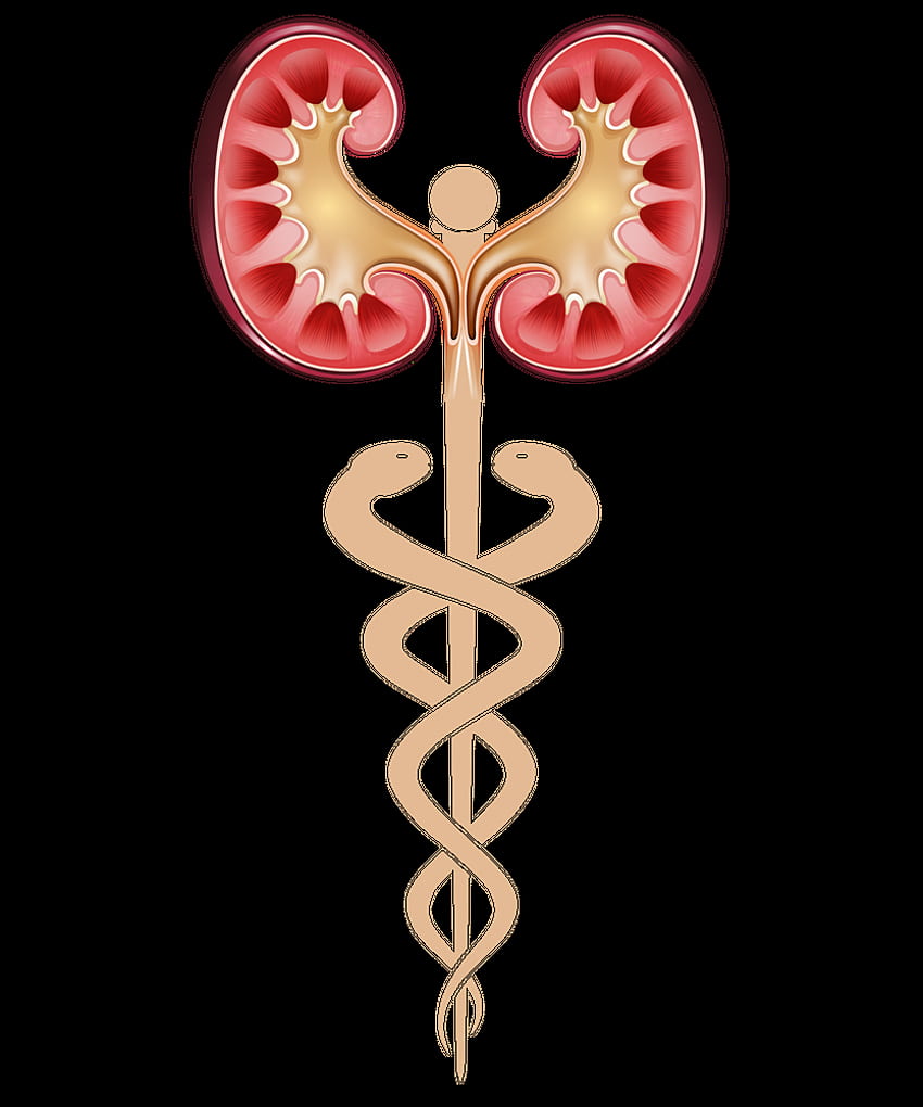 Dialysis Wallpapers - Top Free Dialysis Backgrounds - WallpaperAccess