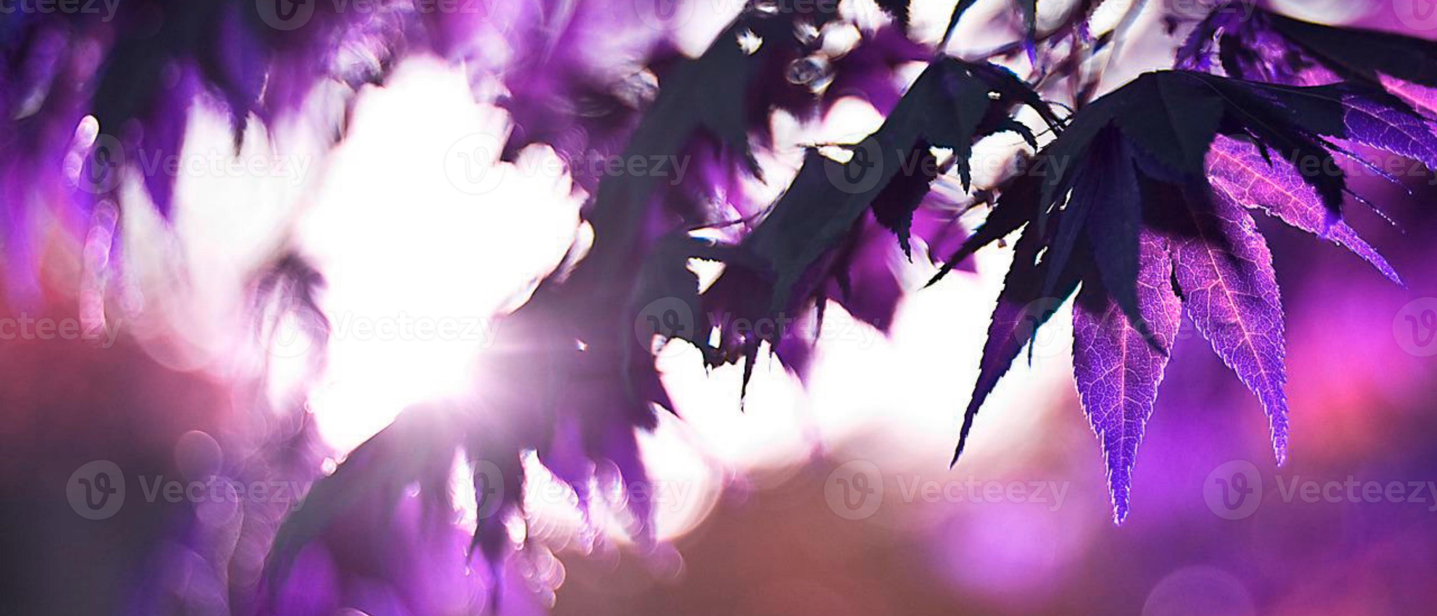 Aesthetic 4k Desktop Wallpapers - Top Free Aesthetic 4k Desktop ...