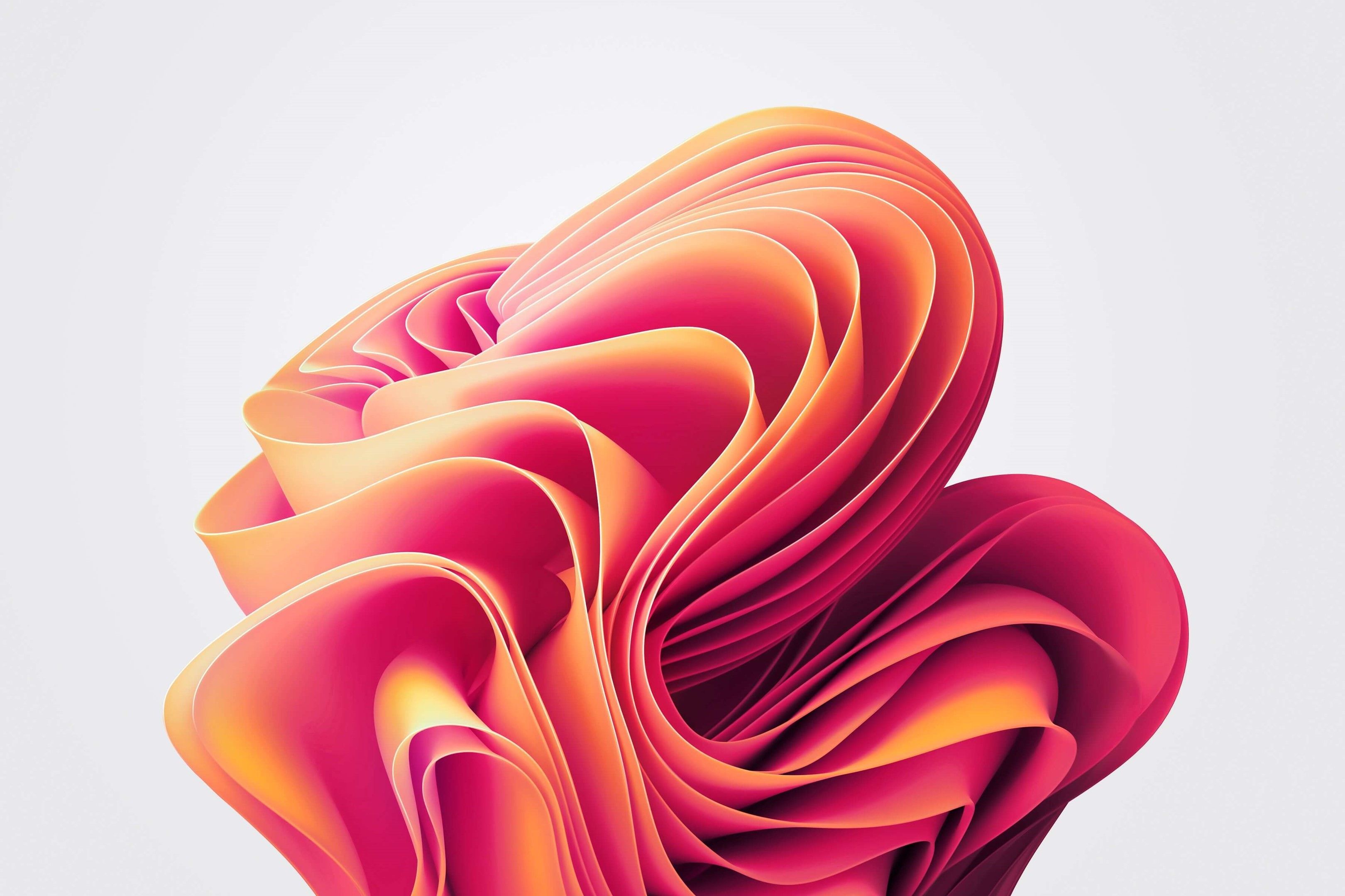 Windows 11 Bloom Wallpapers - Top Free Windows 11 Bloom Backgrounds ...