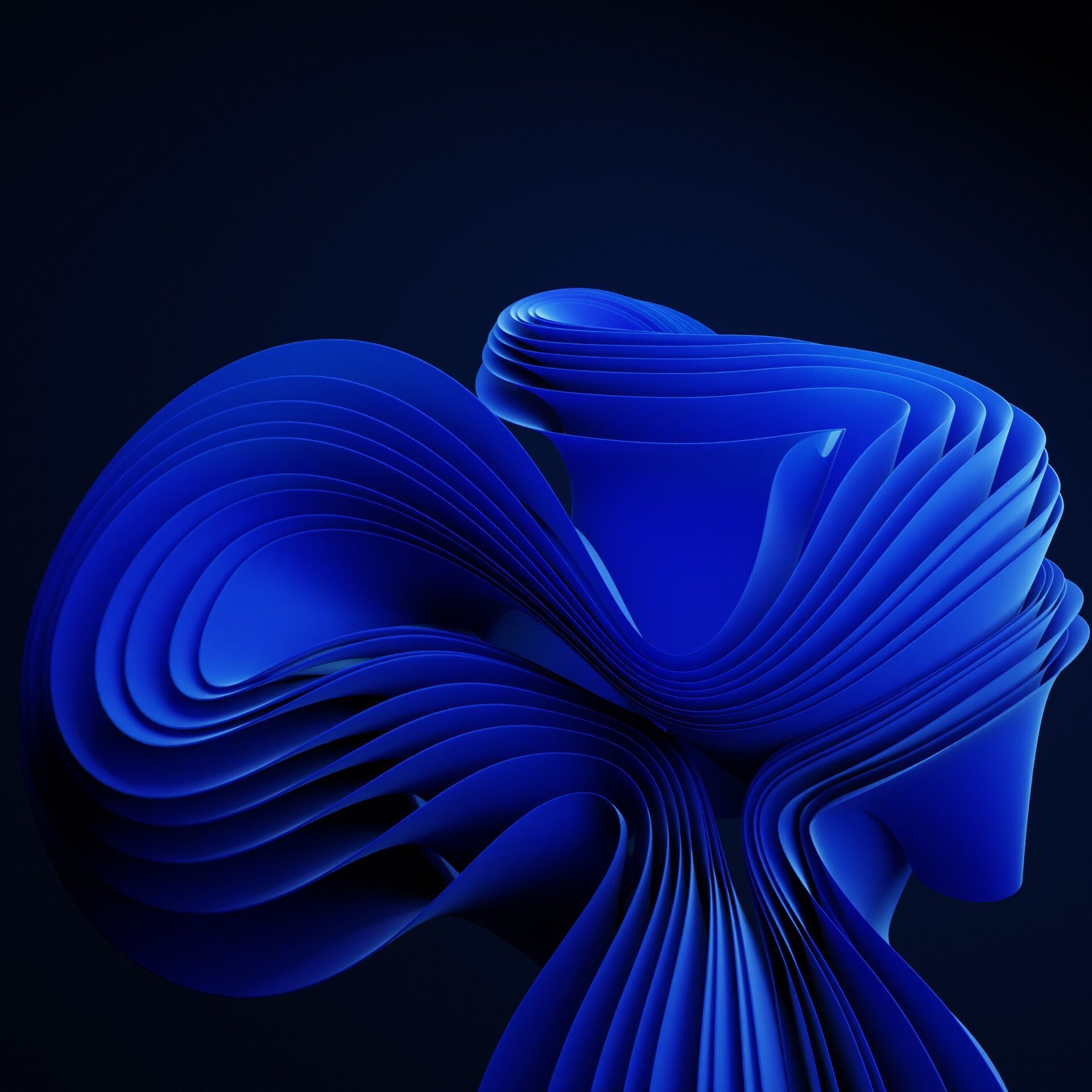 Windows 11 Bloom Wallpapers - Top Free Windows 11 Bloom Backgrounds - WallpaperAccess