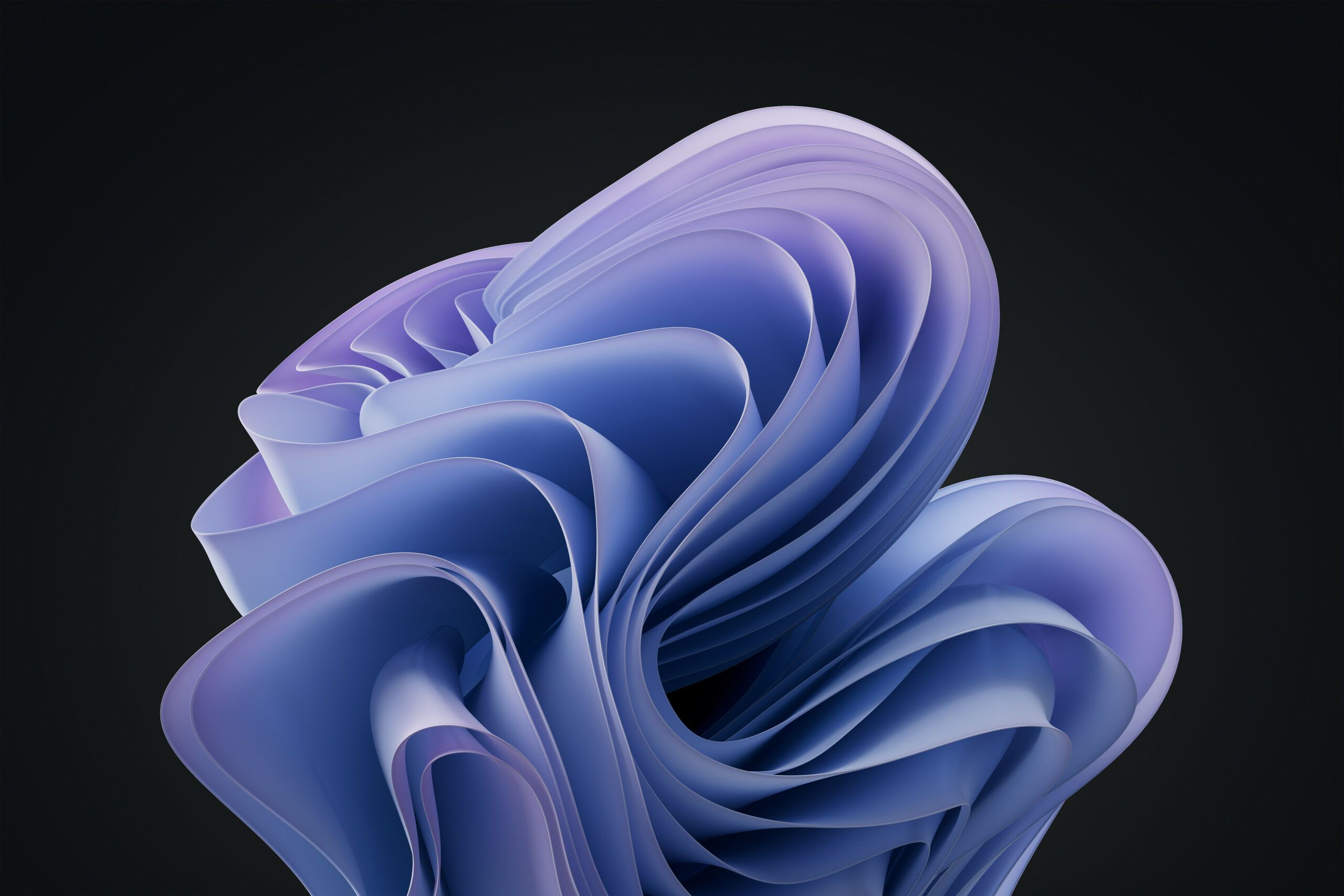 Windows 11 Bloom Wallpapers - Top Free Windows 11 Bloom Backgrounds ...