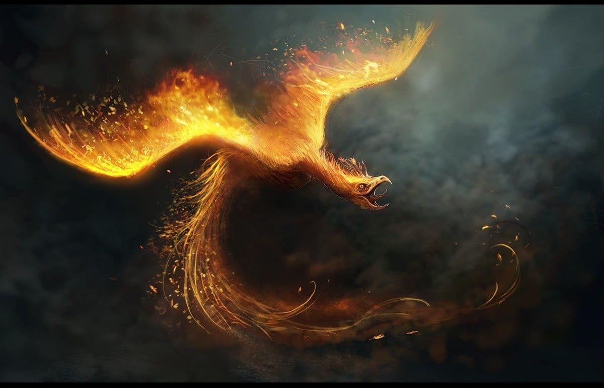 Fire Phoenix Wallpapers - Top Free Fire Phoenix Backgrounds ...