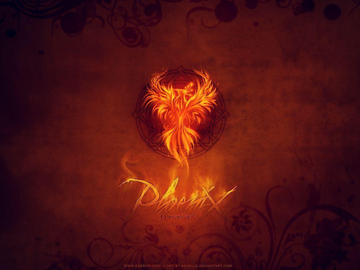 Fire Phoenix Wallpapers - Top Free Fire Phoenix Backgrounds ...