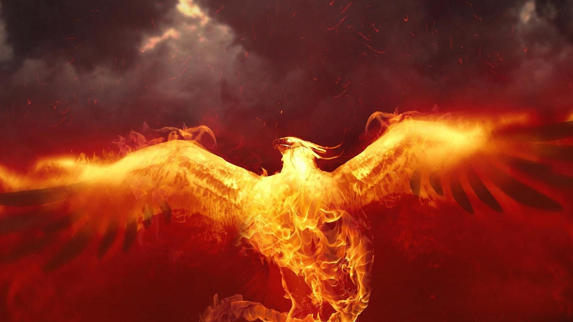 Fire Phoenix Wallpapers - Top Free Fire Phoenix Backgrounds ...