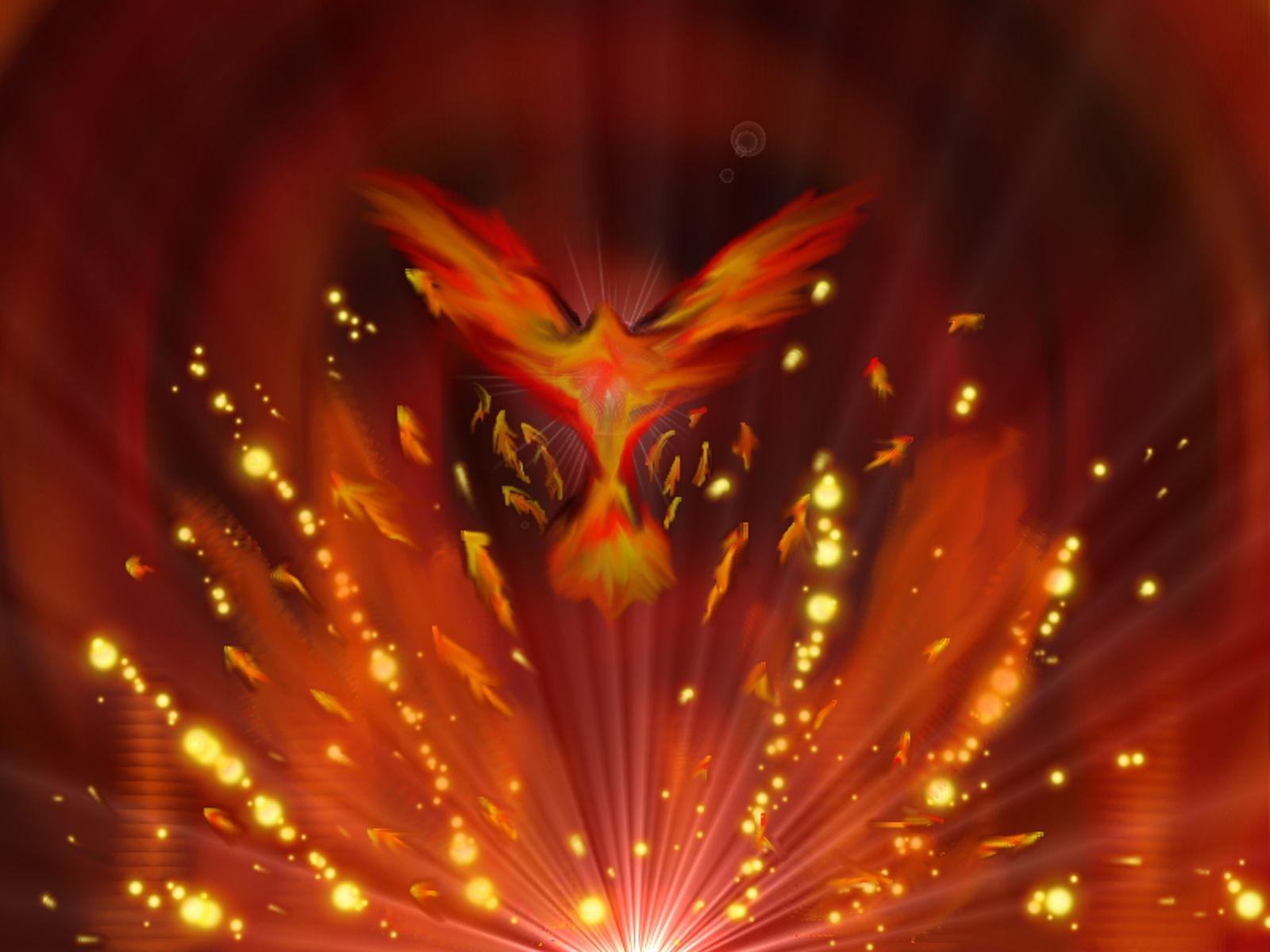 Phoenix Rising Wallpapers - Top Free Phoenix Rising Backgrounds ...