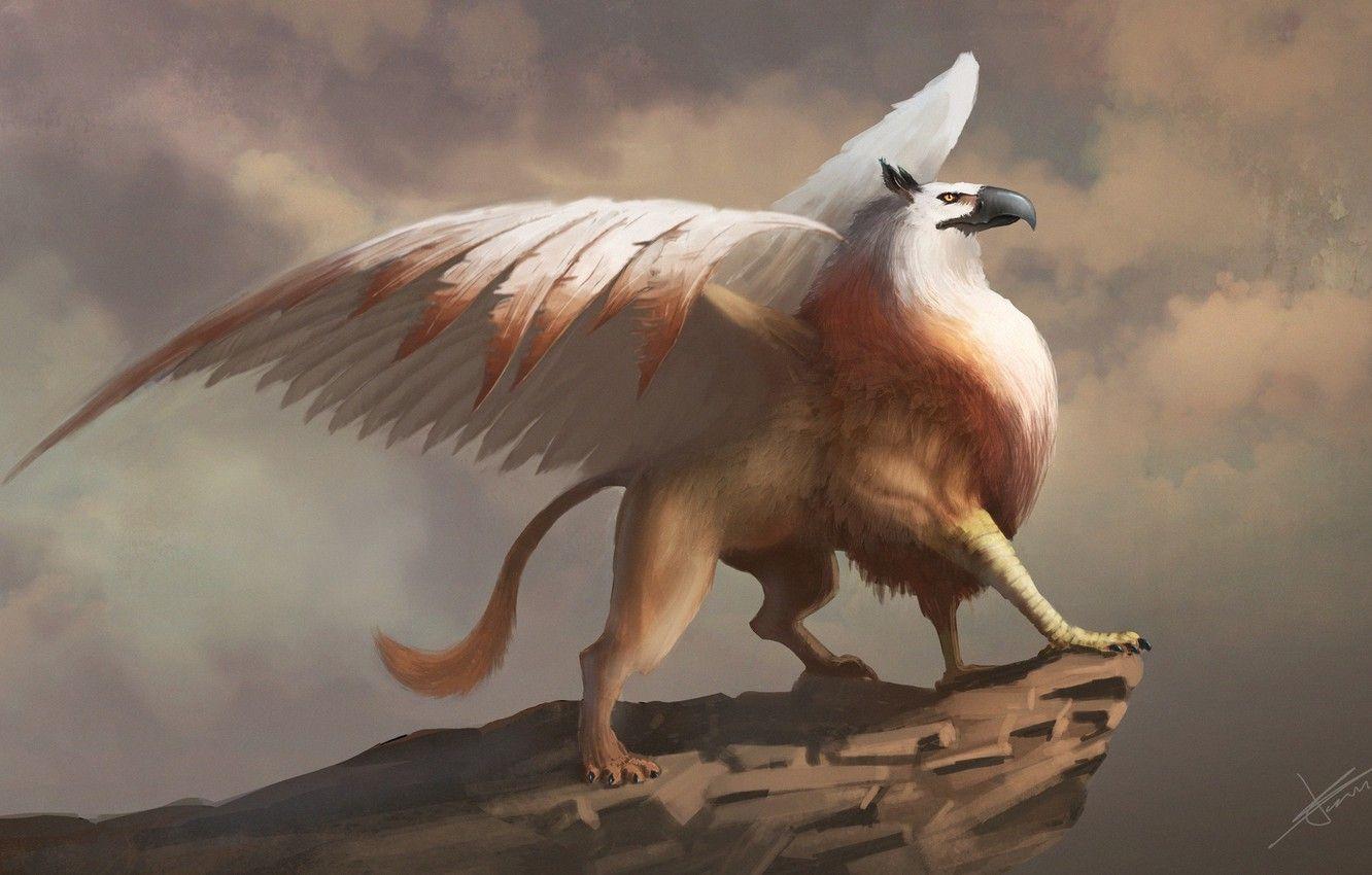 Griffin Wallpapers - Top Free Griffin Backgrounds - WallpaperAccess