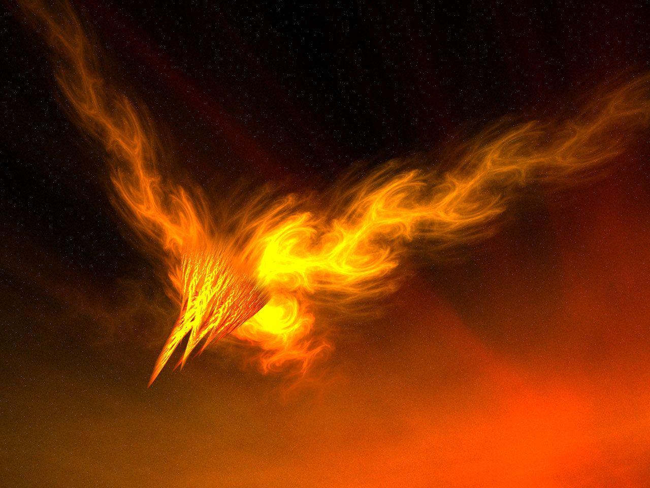 Fire Phoenix Wallpapers - Top Free Fire Phoenix Backgrounds ...