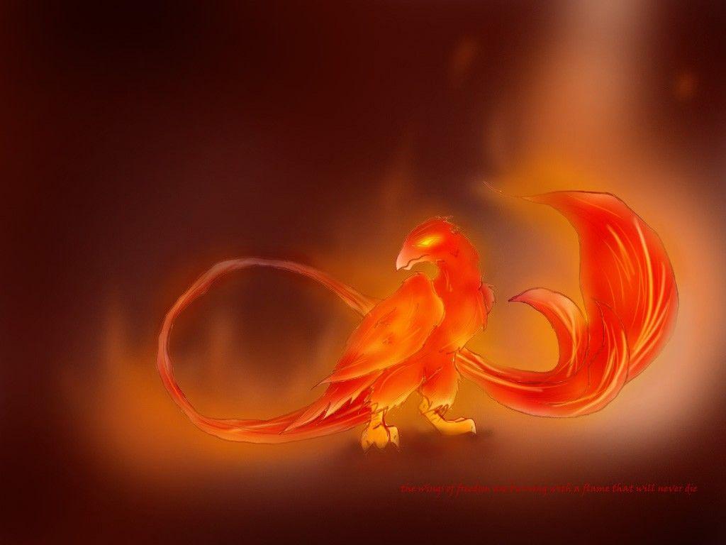Fire Phoenix Wallpapers - Top Free Fire Phoenix Backgrounds ...