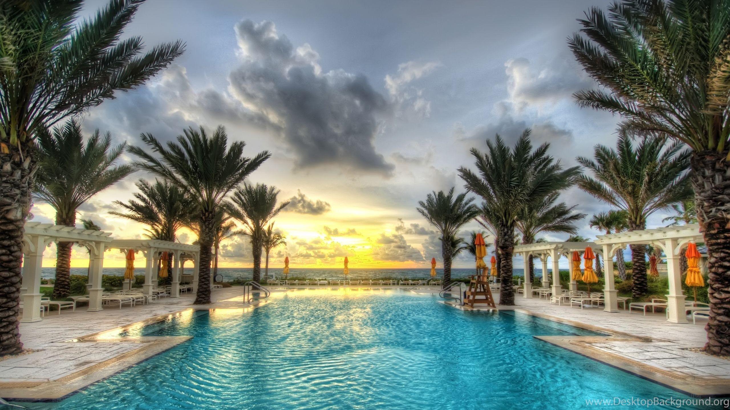 Exotic Wallpapers - Top Free Exotic Backgrounds - WallpaperAccess