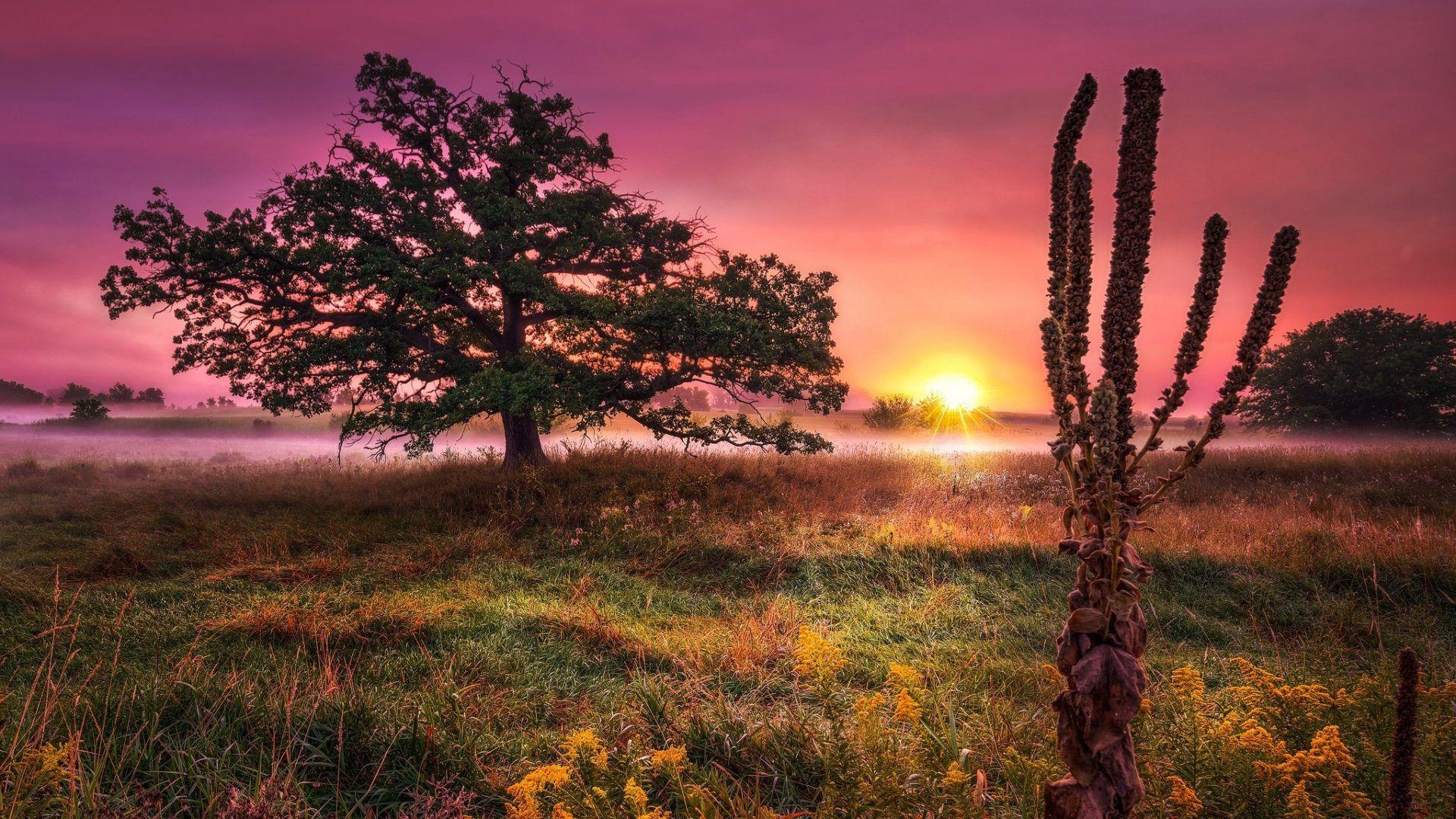 Unbelievable Wallpapers - Top Free Unbelievable Backgrounds ...