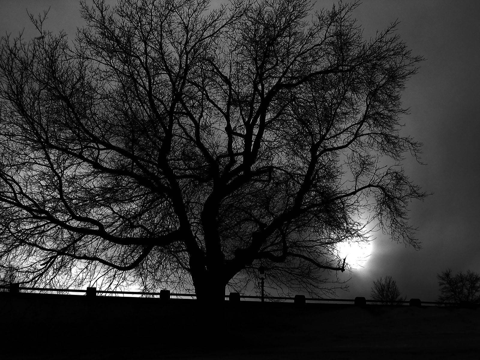 Unbelievable Wallpapers - Top Free Unbelievable Backgrounds ...