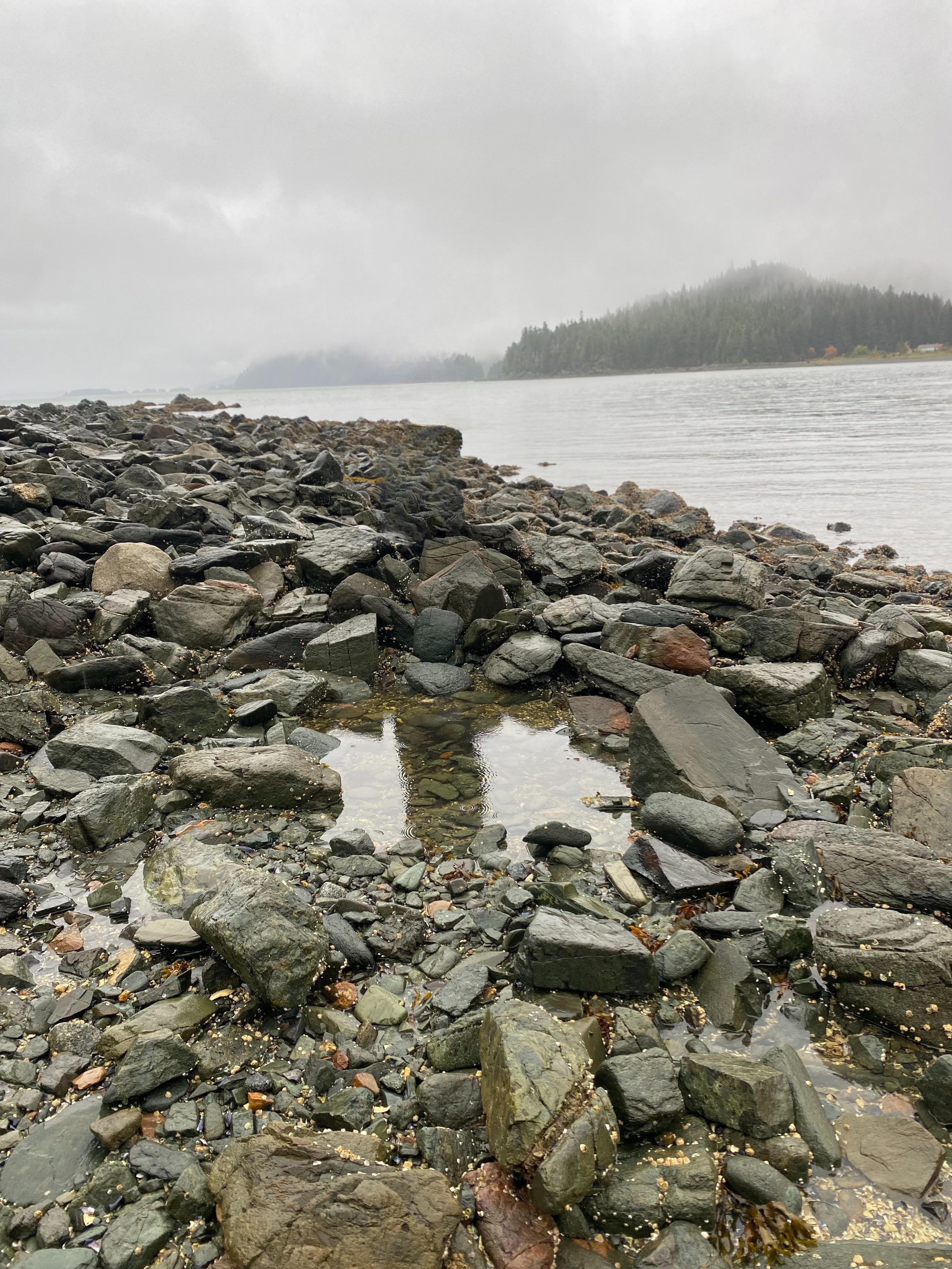 Quadeca Wallpapers - Top Free Quadeca Backgrounds - WallpaperAccess