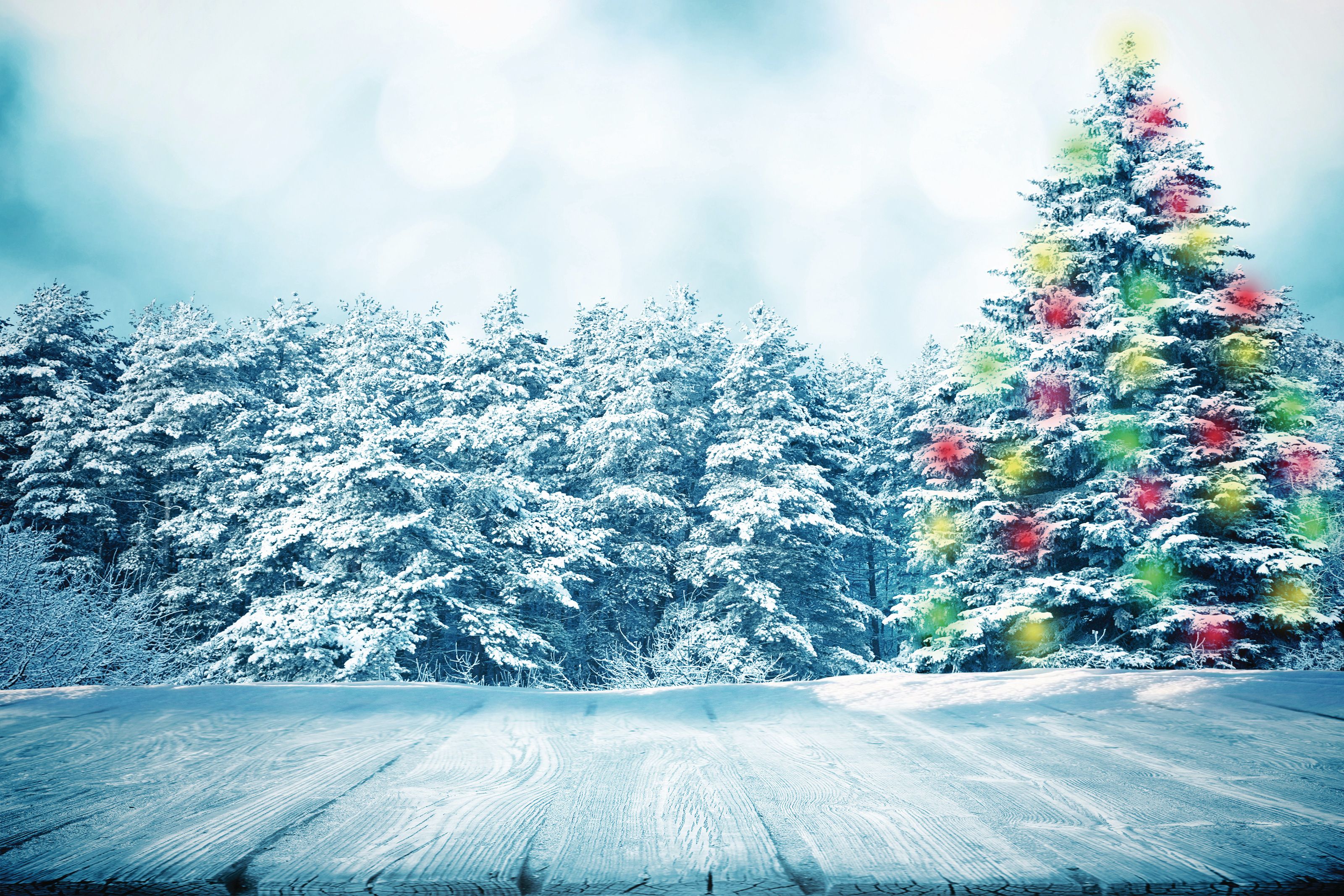 Christmas Outside Wallpapers - Top Free Christmas Outside Backgrounds ...