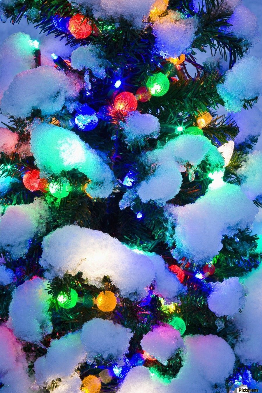 Christmas Outside Wallpapers - Top Free Christmas Outside Backgrounds ...