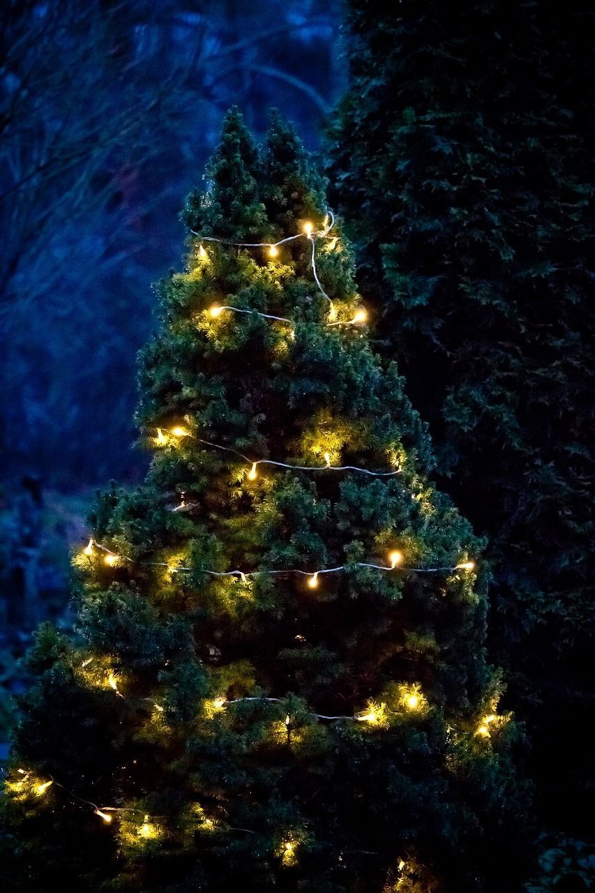 Christmas Outside Wallpapers - Top Free Christmas Outside Backgrounds ...
