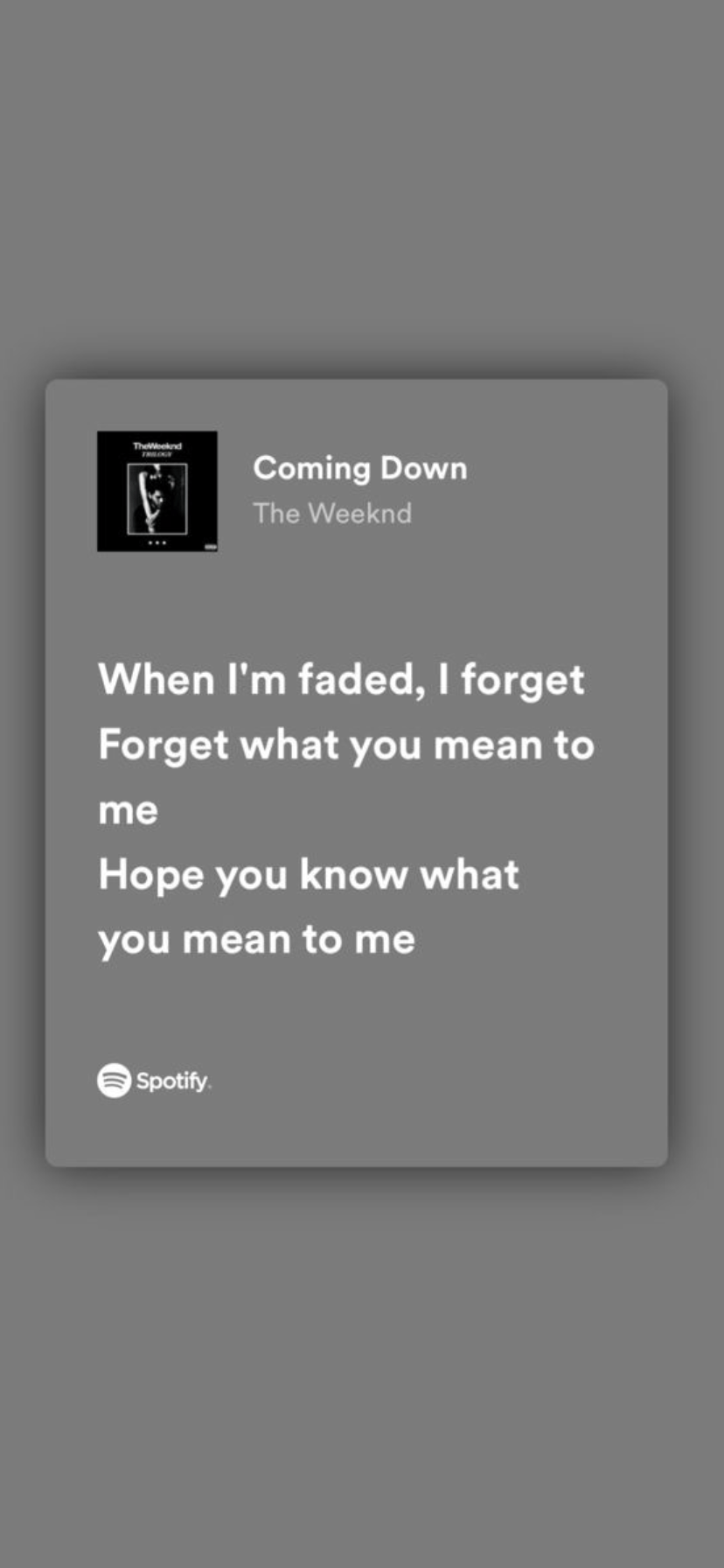 Spotify Lyrics Wallpapers - Top Free Spotify Lyrics Backgrounds ...