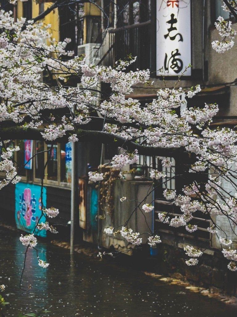 Japanese Rain Street Wallpapers - Top Free Japanese Rain Street ...